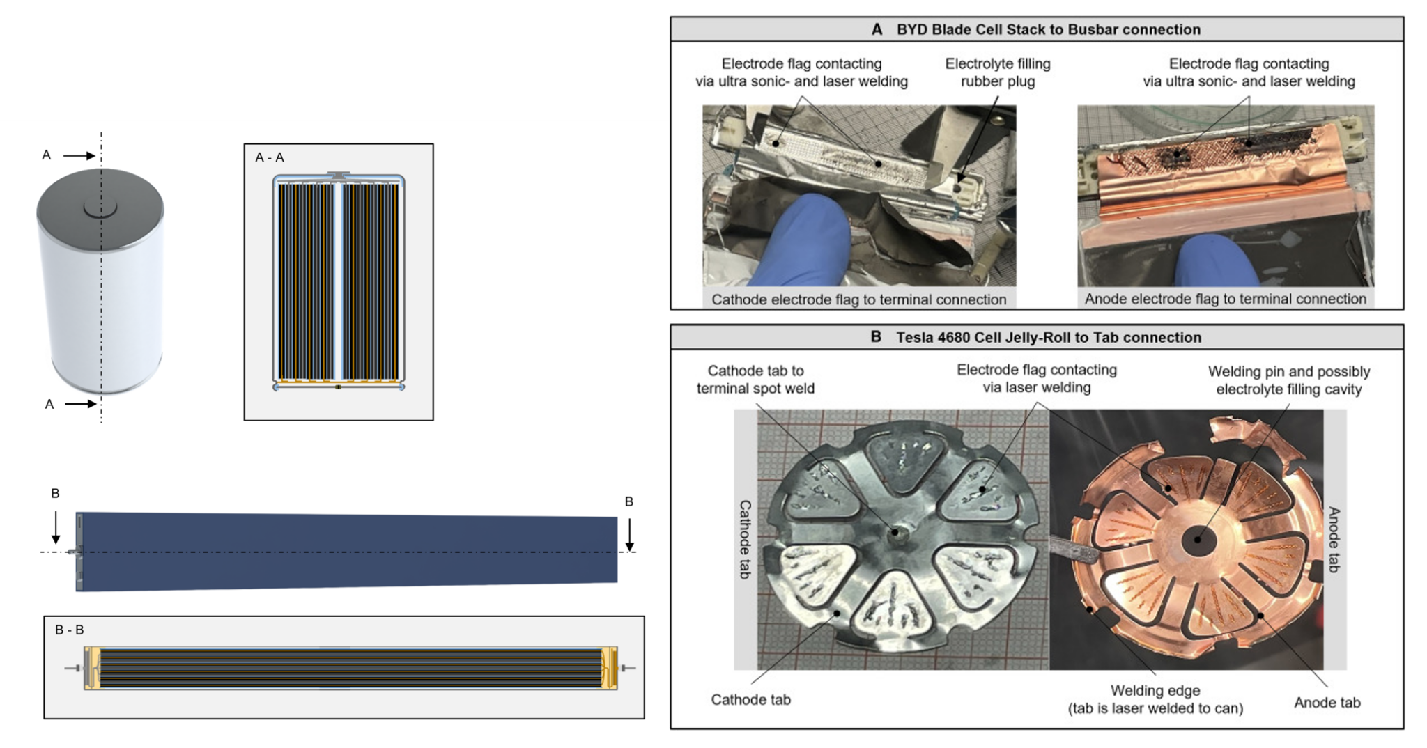 Tesla vs. BYD: Study Reveals Different Battery Cell Technologies ...